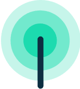 E-MTA Putty | Toothpick Egypt